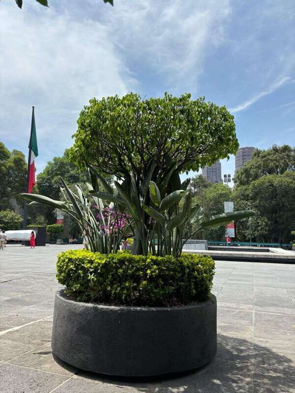 National Museum of Anthropology: A Journey into Mexico's Past-Spanish Language - Who Should Consider This Tour?