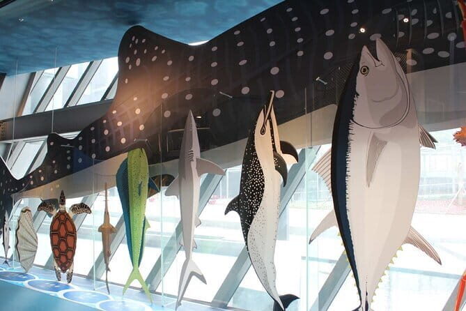 National Museum of Marine Science and Technology Building Ticket - What You Can Expect at the Museum