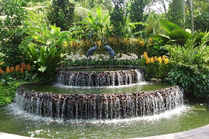 National Orchid Garden Entry Admission Pass - An In-Depth Look at the Experience