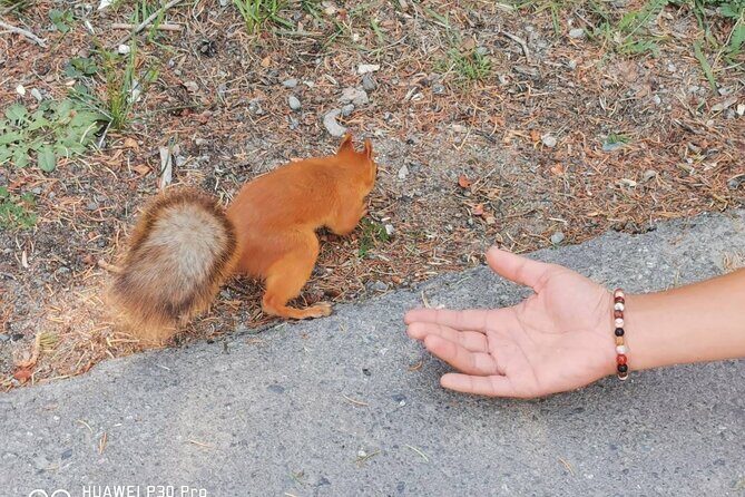 National park Ala-Archa & Chunkurchak ski base resort - Frequently Asked Questions