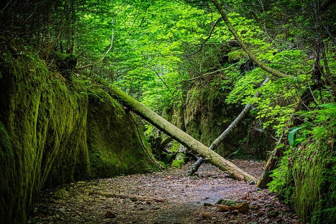 National Park Day Hike from Sapporo by Private Car - Who Should Book This Tour?