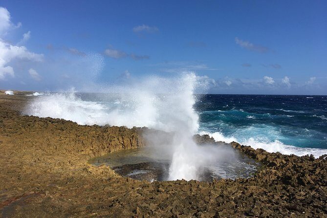 National Park Jeep Safari - FAQs