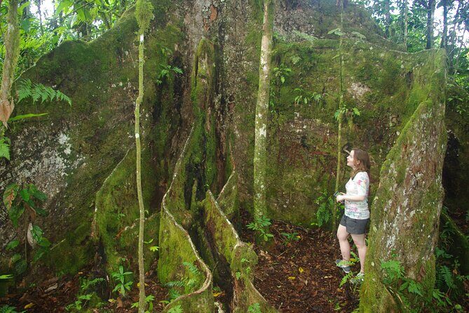 National Park Lava Cliffs and Black Sand Beach - Authentic Experiences and Hidden Gems