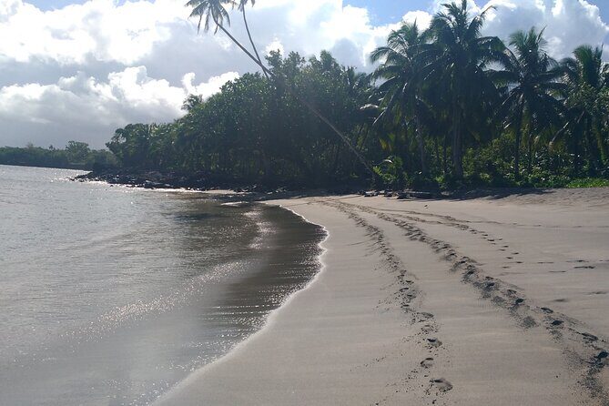 National Park Lava Cliffs and Black Sand Beach - Who Benefits Most from This Tour?