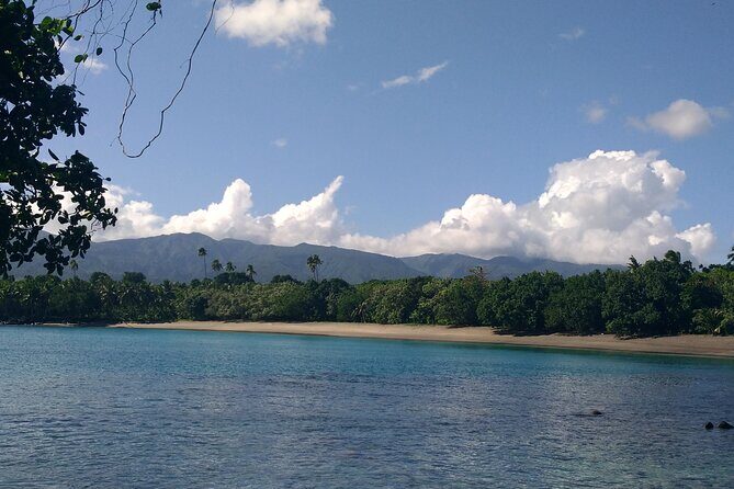 National Park Lava Cliffs and Black Sand Beach - The Sum Up: A Natural Escape Worth Your Time