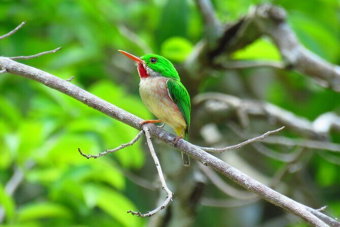 National Park of the East Private Hiking Tour with Swimming - Practical Details and Tips