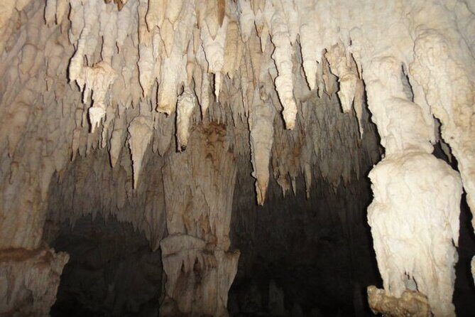 National Park of the East Private Hiking Tour with Swimming - Final Thoughts: Who Will Love This Tour?