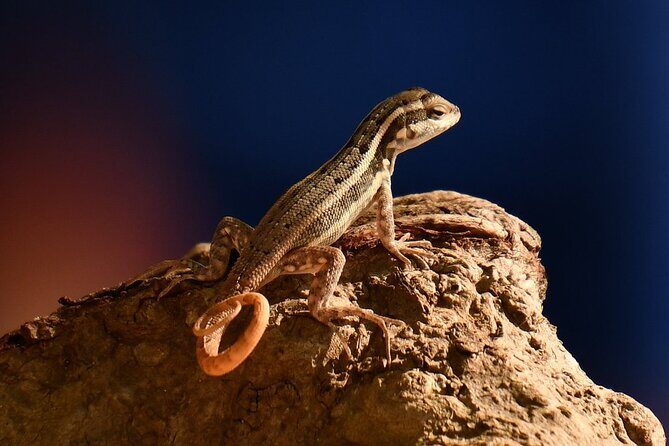 National Park of the East Private Hiking Tour with Swimming - FAQ