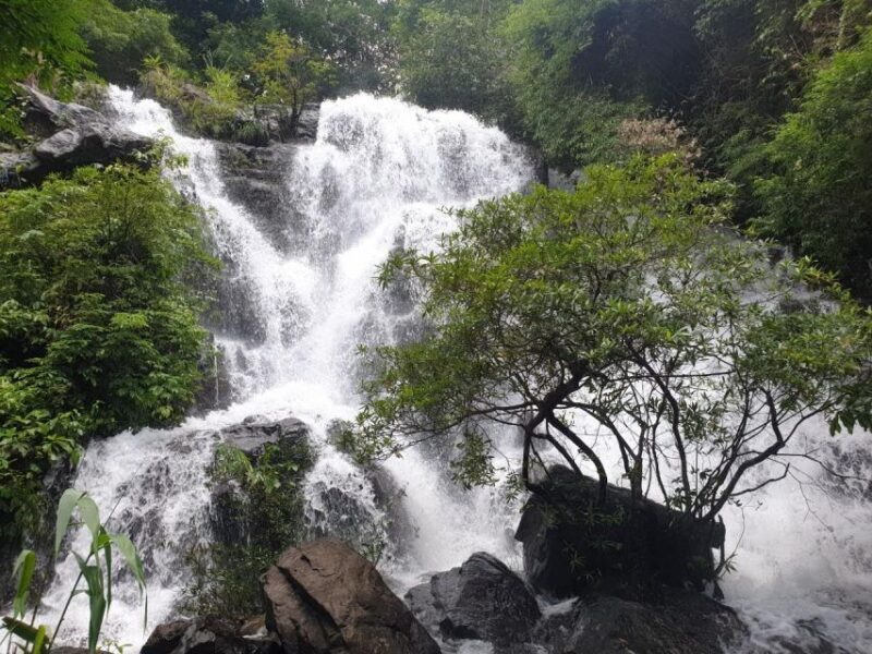National Park - Paradise Cave & Phong Nha Cave - Final Thoughts: Is This Tour Right for You?