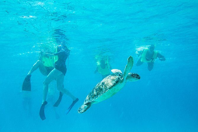 National Park Snorkeling Excursion - Key Points