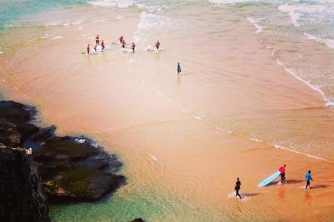 National Park West Coast Half Day Tour from Lagos - A Detailed Look at What the Tour Offers