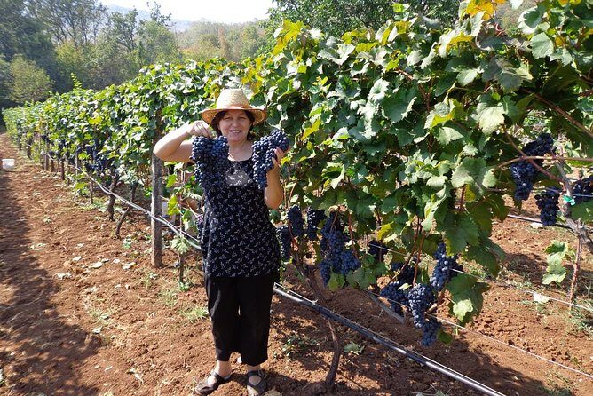 National parks and wine tasting (NP Lovcen, NP Skadar lake, Cetinje, Njegusi) - FAQ