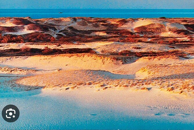 National Seashore Tour with Guided Hike - Why You’ll Love This Tour: An Authentic Look at Cape Cod’s Seashore