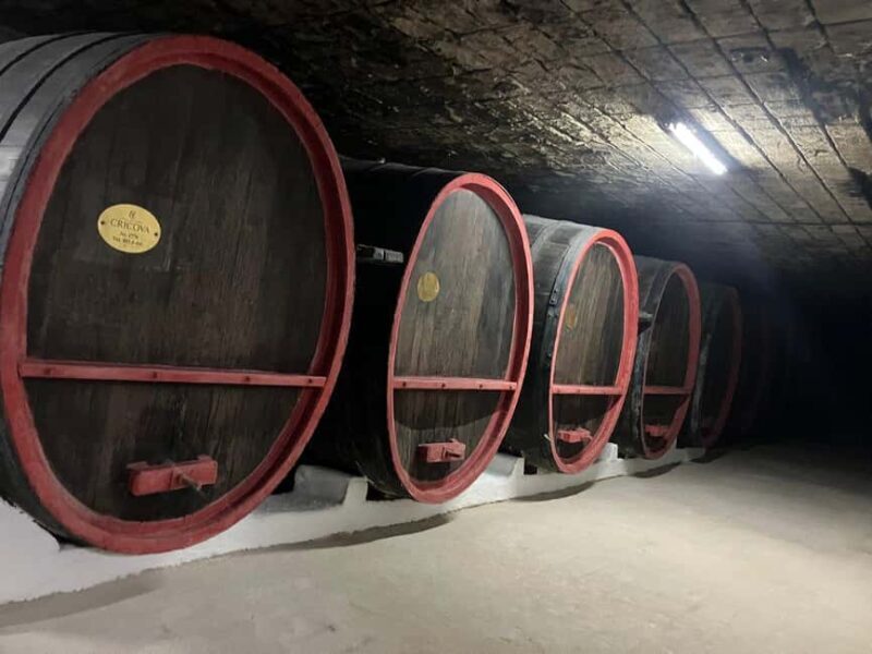 National Wine Day Celebrations In Moldova - A Closer Look at the Itinerary and What You’ll Experience