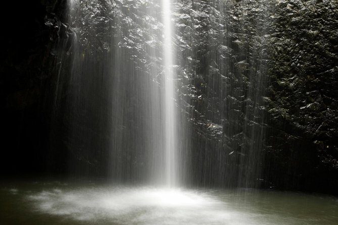 Natural Bridge Glow Worm Night Tour from Gold Coast - The Value & Considerations