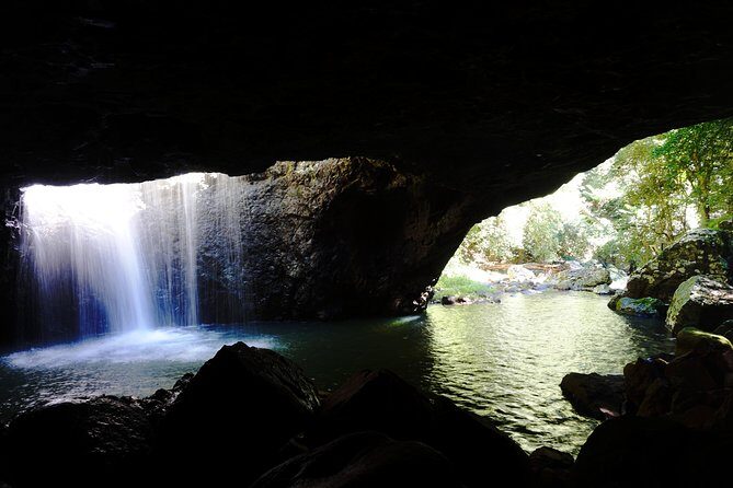 Natural Bridge Glow Worm Night Tour from Gold Coast - FAQs