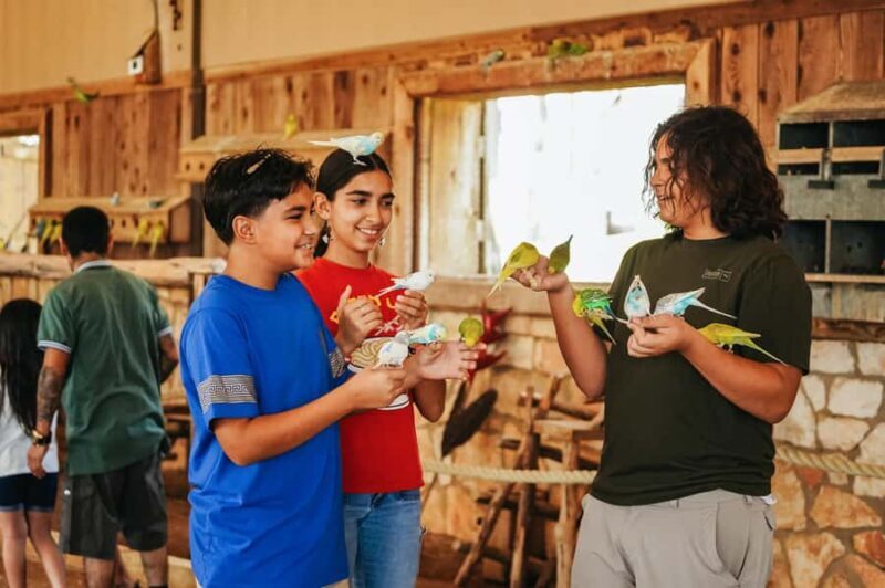 Natural Bridge Wildlife Ranch: Self-Guided Safari Drive-Thru - An In-Depth Look at the Experience