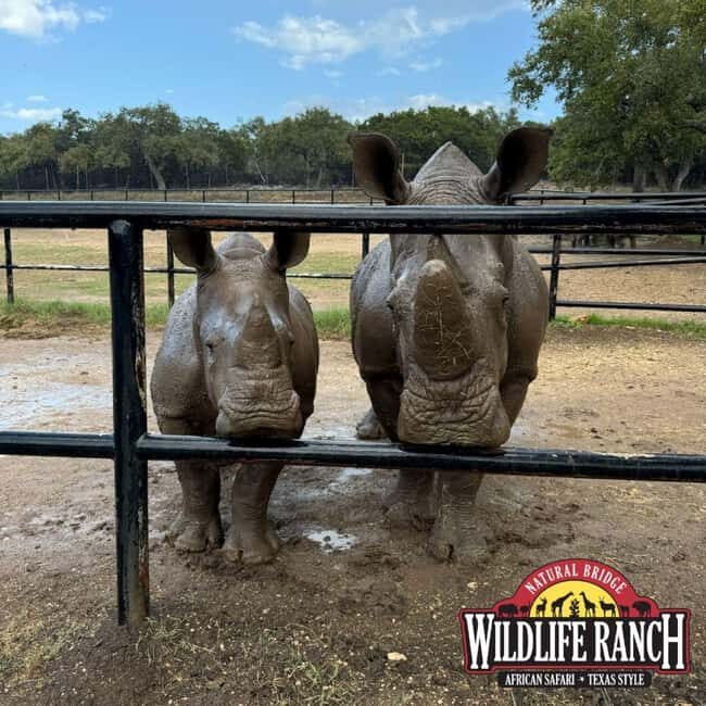 Natural Bridge Wildlife Ranch: Self-Guided Safari Drive-Thru - Who Should Consider This Experience?
