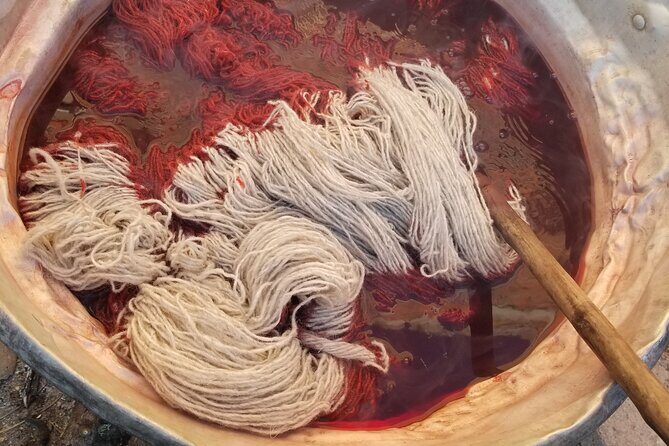 Natural Dyeing and Organic Weaving Workshop in Oaxaca - Key Points