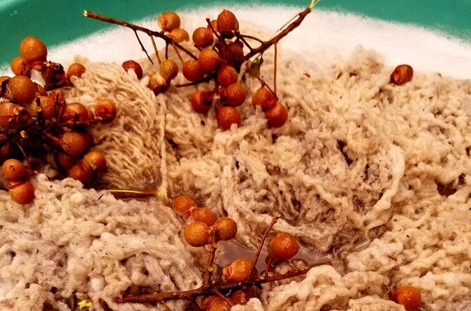 Natural Dyeing and Organic Weaving Workshop in Oaxaca - Authenticity and What Travelers Say