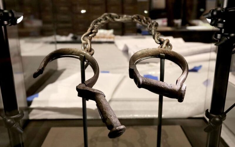 Natural History Museum & American History Museum - Who Is This Tour Best For?