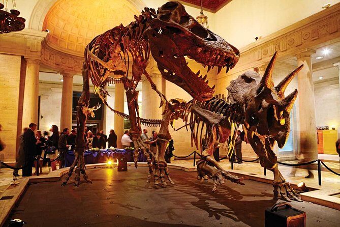 Natural History Museum of Los Angeles County Admission - A Closer Look at the Experience