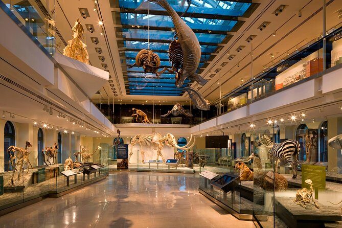 Natural History Museum of Los Angeles County Admission - The Sum Up