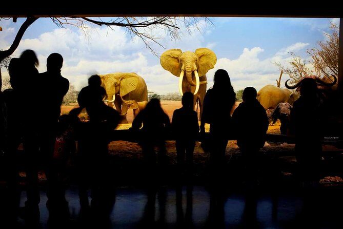 Natural History Museum of Los Angeles County Admission - FAQ