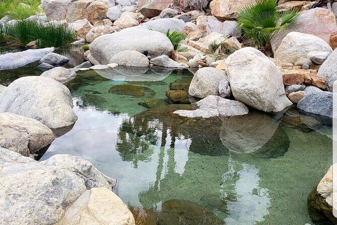 Natural Hot Springs Experience - Why This Tour Works for You
