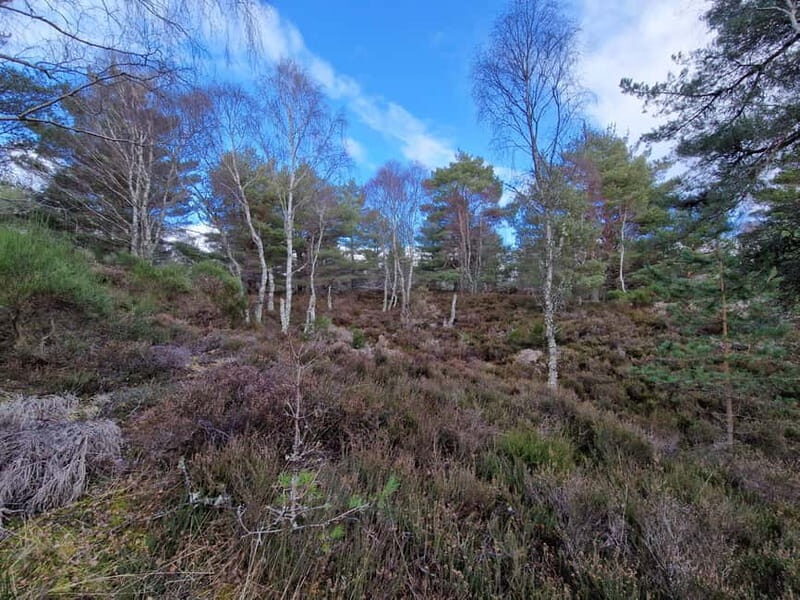 Natural Landscapes of Aberdeenshire and the Cairngorms - FAQ