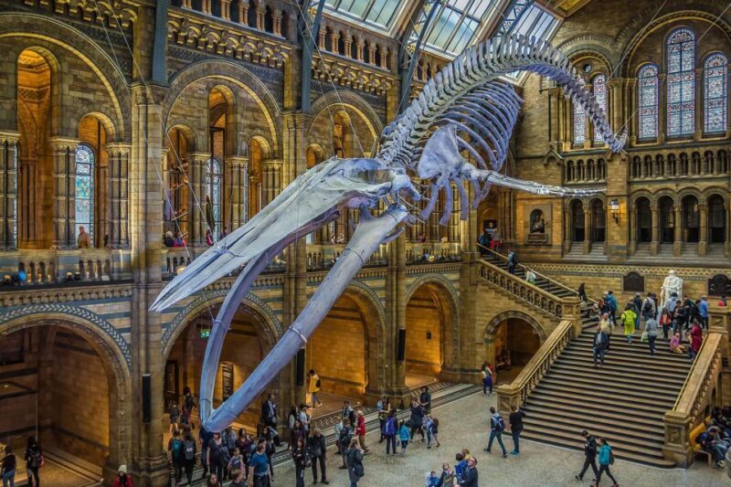 Natural Museum Adventure: Gems, Volcanoes, Dinosaurs - An In-Depth Look at the Experience