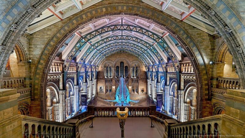 Natural Museum Adventure: Gems, Volcanoes, Dinosaurs - FAQs
