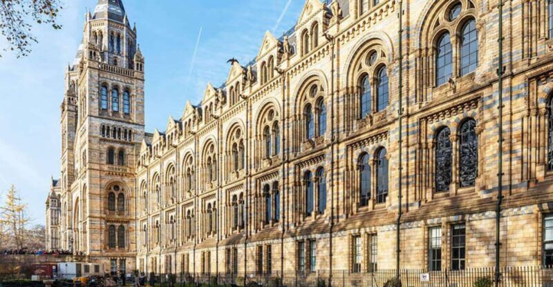 Natural Museum: Diplodocus to Blue Whale Wonders - FAQs