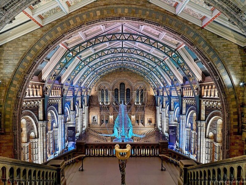 Natural Museum: Diplodocus, Volcanoes, Whale, and Gems - The Meaning Behind the Exhibits