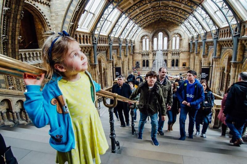 Natural Museum Secrets: Diplodocus, Blue Whale, Evolution - Key Points