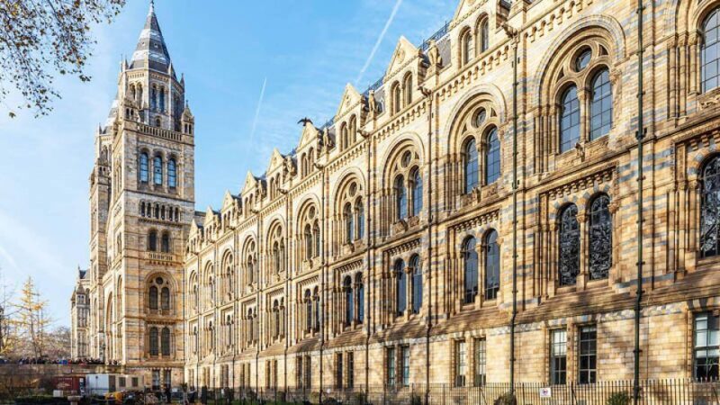 Natural Museum Secrets: Diplodocus, Blue Whale, Evolution - A Closer Look at the Experience