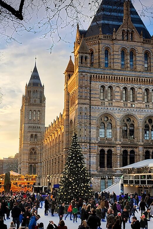 Natural Museum Secrets: Diplodocus, Blue Whale, Evolution - The Sum Up