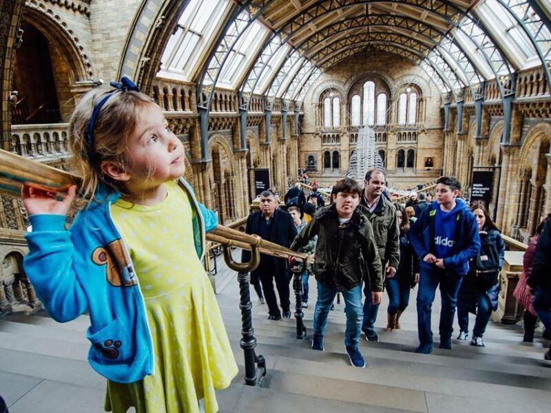 Natural Museum Tour: Volcanoes, Earthquakes, Blue Whale - An Intro to What You Can Expect