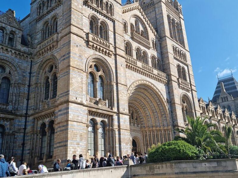 Natural Museum Tour: Volcanoes, Earthquakes, Blue Whale - Practical Aspects and Tips