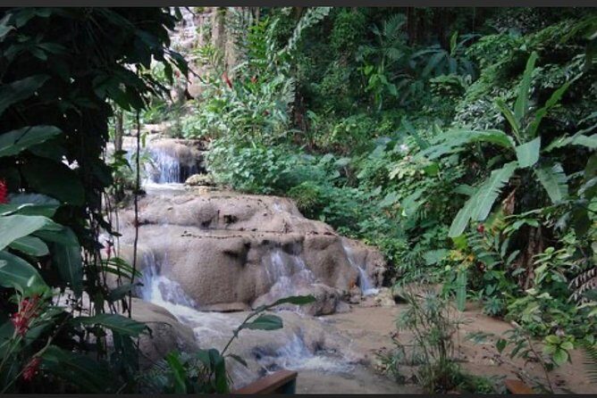 Natural Mystic - An Authentic Taste of Ocho Rios’s Natural Splendors