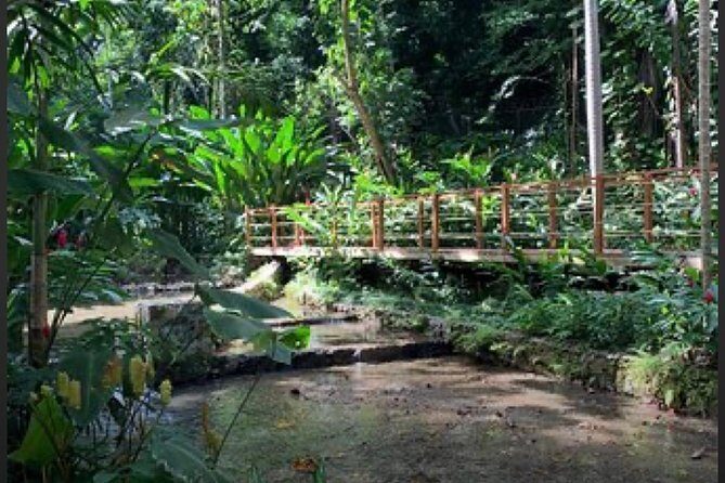 Natural Mystic - What Travelers Say