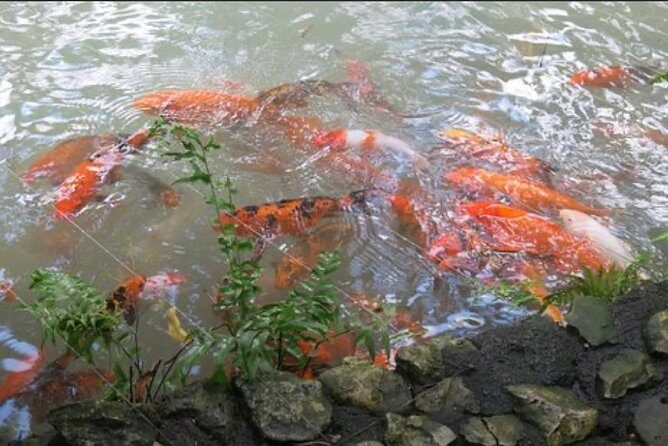 Natural Mystic - Who Will Love This Tour?