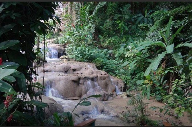 Natural Mystic - The Sum Up: Who Is This Tour Best For?