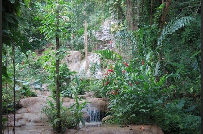 Natural Mystic - FAQ