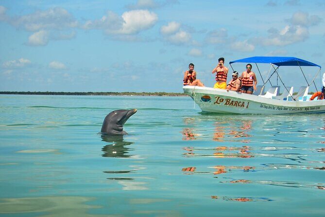 Natural Reserve of Sian Ka'an Tour ! - Key Points