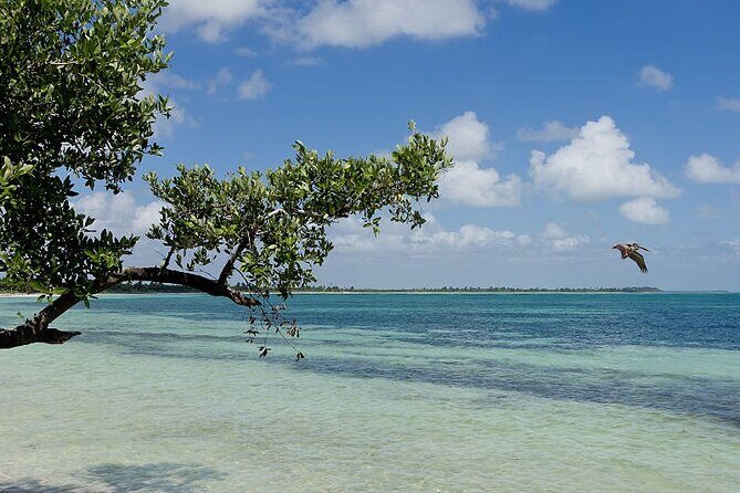 Natural Reserve of Sian Ka'an Tour ! - Is This Tour Right for You?