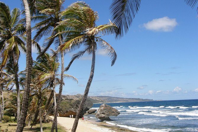 Natural Wonders of Barbados Small-Group with Harrison's Cave - FAQs