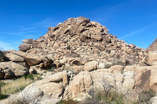Natural Wonders Walk: Plants, Animals and Rocks of Joshua Tree - A Closer Look at the Tour Experience