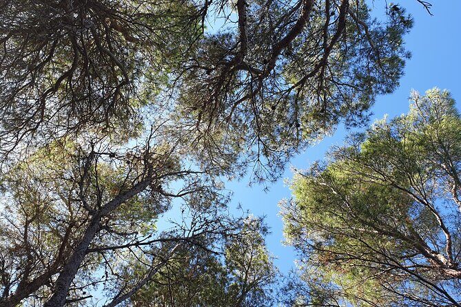 Naturalistic excursion to Ustica - Practical Considerations