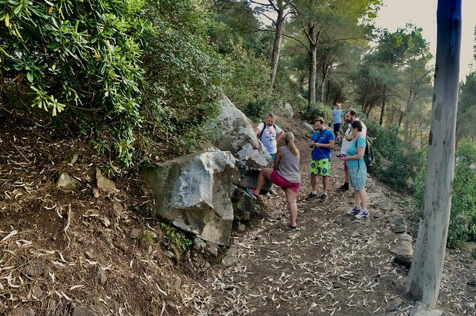 Naturalistic excursion to Ustica - Personal Experiences and Reviews